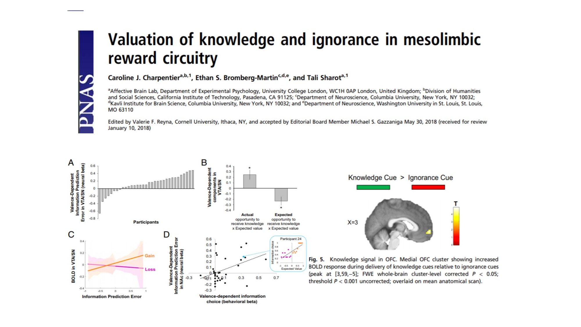 Affective Brain Lab – Director: Tali Sharot