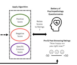 Research – Affective Brain Lab